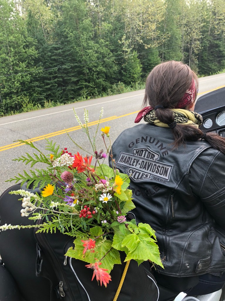 HarleyAlaskaBlog | Real Alaskans ride Harleys – Real Bikers ride Alaska ...